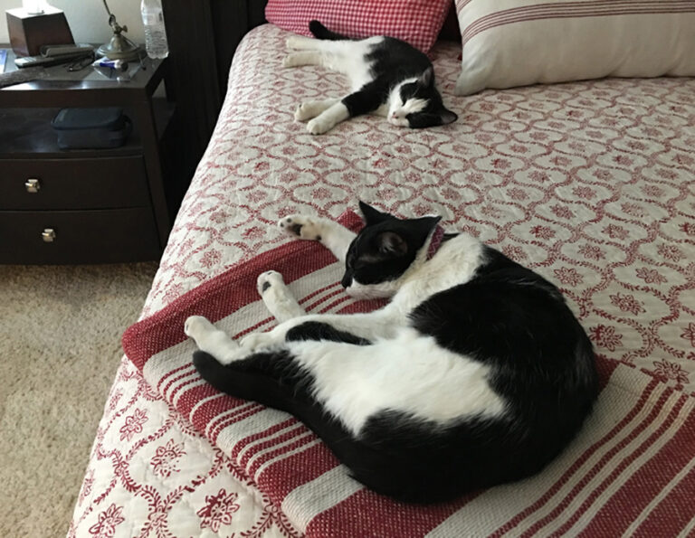 About Us | Worn But Not Forgotten Sports Art